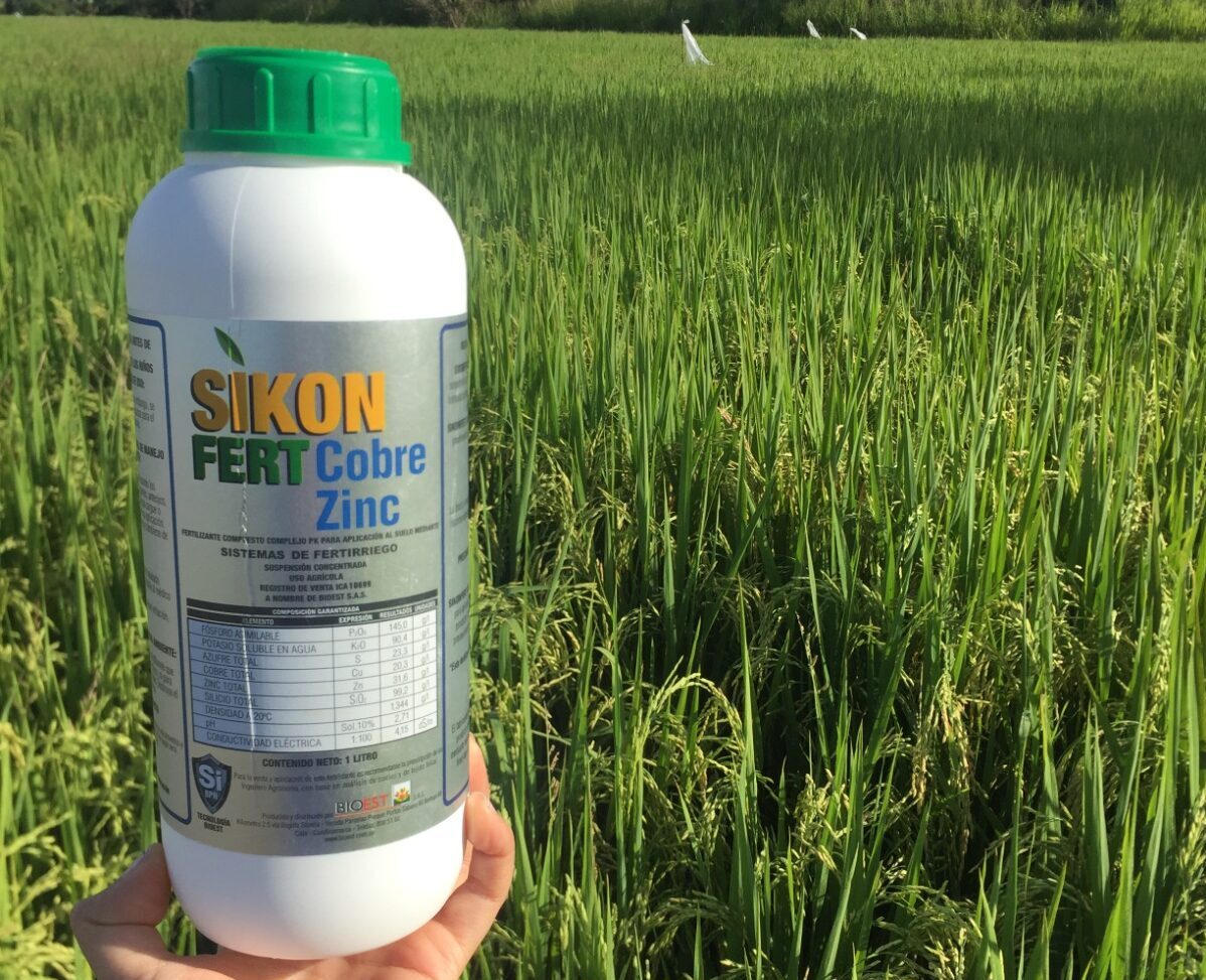 El poder orgánico del silicio aplicado a la agricultura - metroflorecuador.com