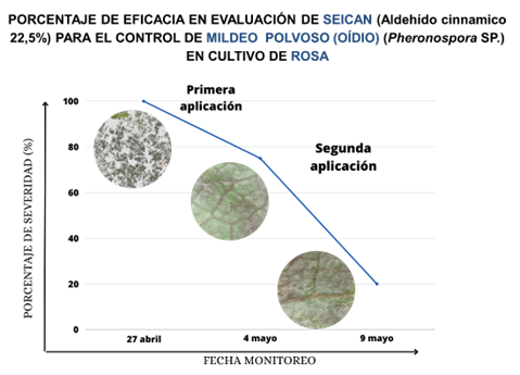 SEICAN, fungicida natural de acción eficaz para el control de mildeo ...